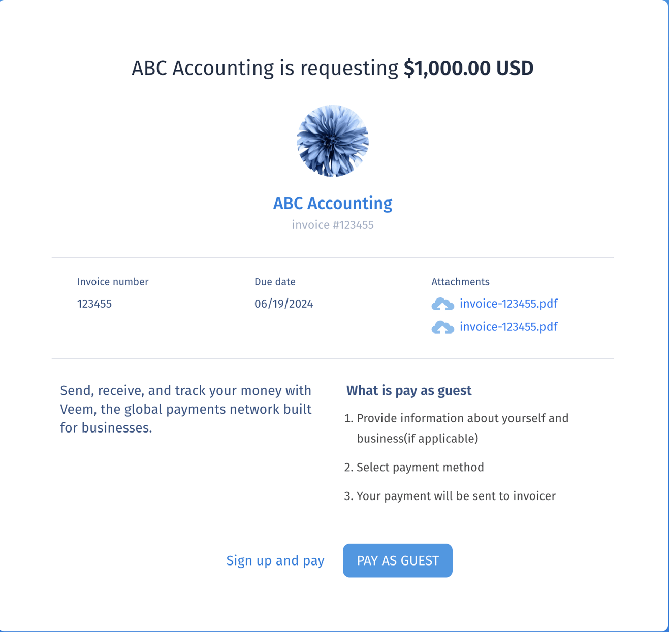 How to pay an invoice as a Guest - "Guest Pay"
