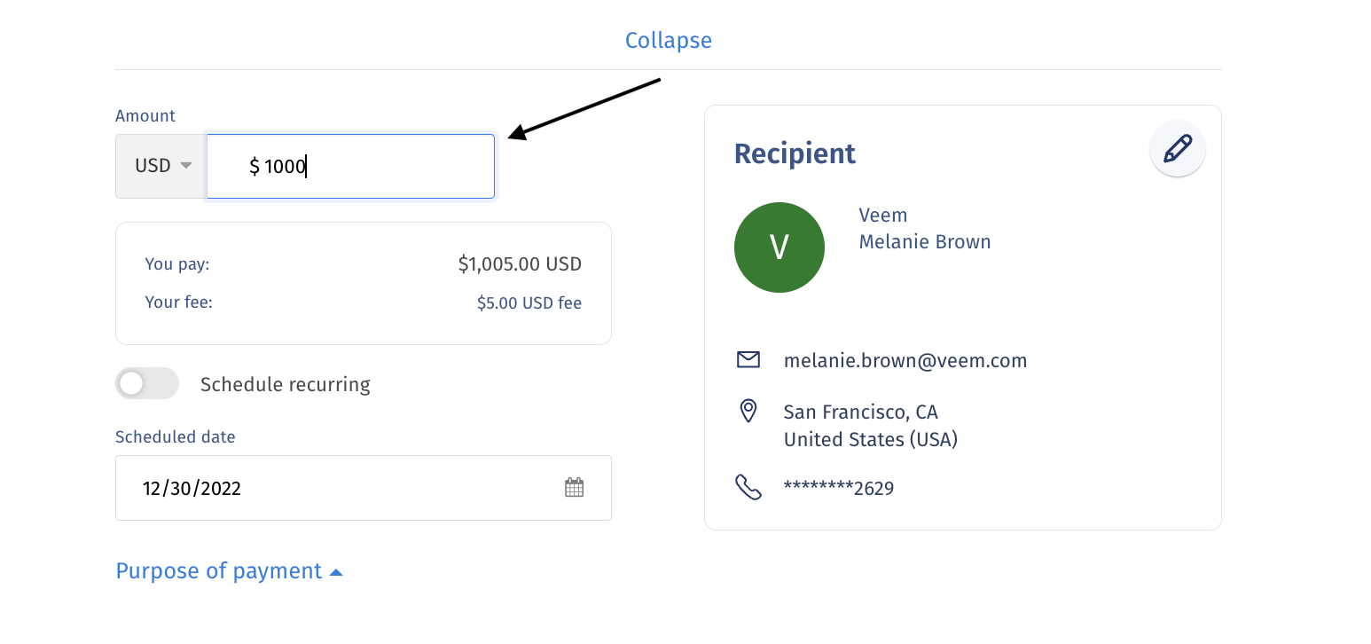 How to Edit Scheduled/Recurring Payment Details